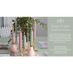 Root Candles Timberline Beeswax Blend Premium Handcrafted Unscented Pillar Candle, 3 x 6-Inch, Sage Green