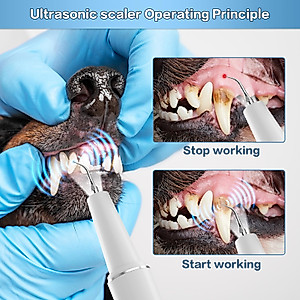 TESECU Dog Plaque Remover for Teeth, Dog Tooth Brushing Kit for Tartar, 5 Modes Pet Dog Teeth Cleaning, Dog Pet Puppy Dental Toothbrush Tool, Pet Teeth Cleaning Suitable for Dog/Cat