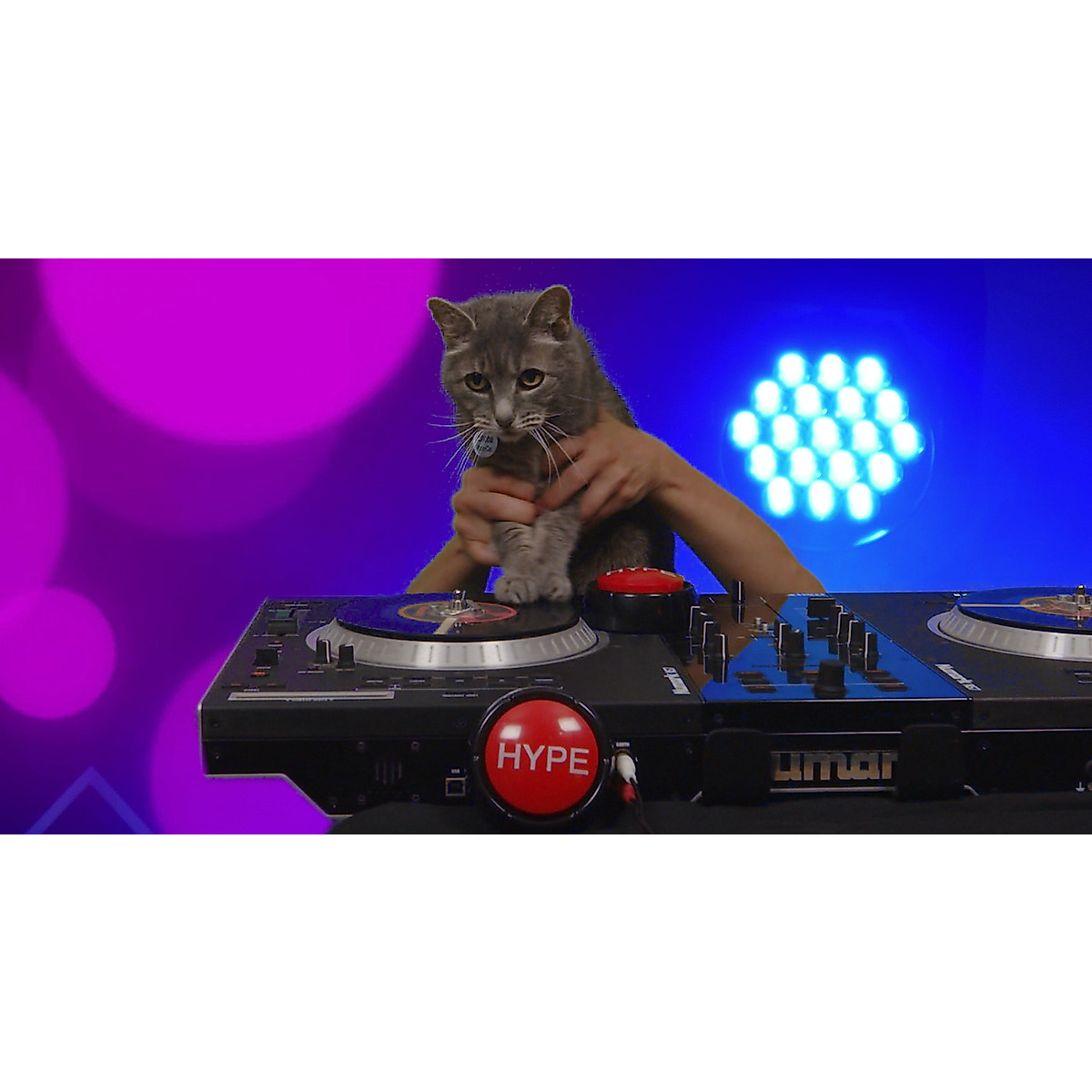 Hype Button | Hip Hop Air Horn Sound Effect Button (Batteries Included) Stocking Stuffer Back to School Classroom Teacher Office Desk Sales Marketing Gag Nut Funny Toy Class