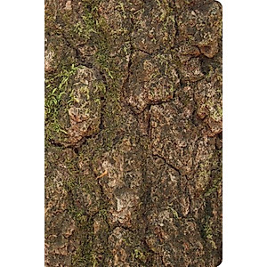 Waterproof Bible - ESV - Camouflage