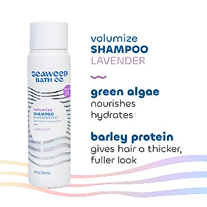 Seaweed Bath Co. Volumize Shampoo, Lavender Scent, 12 Ounce, Sustainably Harvested Seaweed, Green Algae, Barley Protein, For Normal to Fine Hair