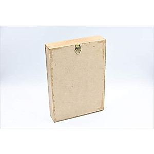 TAXIBUGS Jewel Beetle Mounts Insect Animals Taxidermy in Framed (3 Sternocera Aeguisignata Closed Wings)