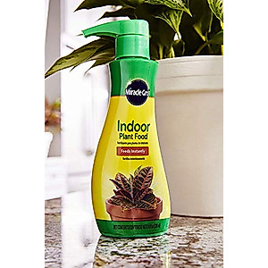 Miracle-Gro 100055 Indoor Plant Food, (3)