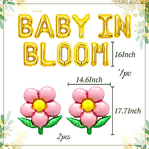 JeVenis Baby in Bloom Balloons Baby in Bloom Banner Baby In Bloom Baby Shower Decorations Baby In Bloom Backdrop Floral Baby Shower Decorations