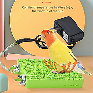 Warm Pet Perch Stand, Safe Heating Bird Perch Platform Constant Temp 5W Toxic Free for Hamster US Plug 100‑240V