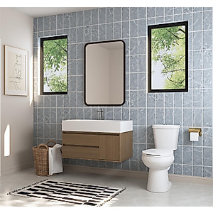 Two-Piece Toilet, DeerValley 17.72" High 12” Rough in Dual Flush 1.1/1.6 GPF and Map 1000g, ADA Chair Height Toilets Bowl With Soft Close Seat for elderly, White DV-2F0079