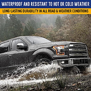 Bullet Antenna for Ford F150 (2009-2024) - Highly Durable Premium Truck Antenna 4.25 Inch - Car Wash-Proof Radio Antenna for FM AM - Black, 30 Caliber Design - Ford F150 Accessories