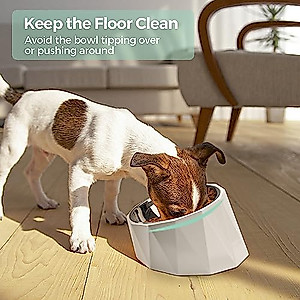 Elevated Dog Bowl for Small Dogs, Tilted Dog Bowl Dog Dish with Detachable Melamine Stand, Dog Food Bowl for French Bulldogs, Puppies, Cats, Non-Skid, Easier to Reach Food