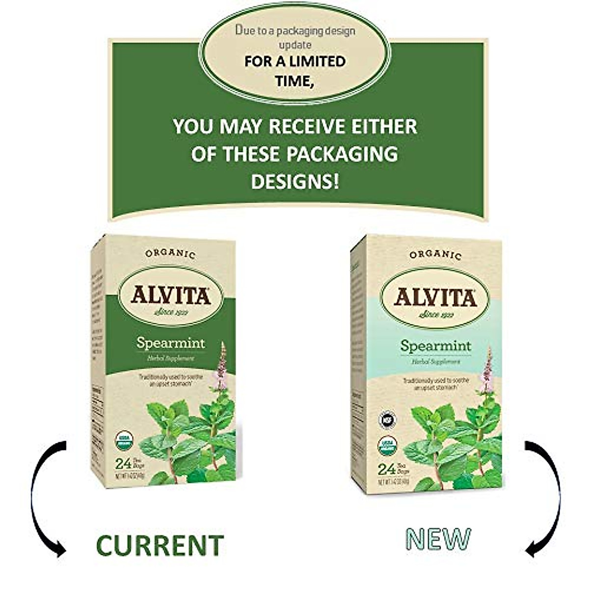 Alvita Organic Spearmint Herbal Tea - Made with Premium Quality Organic Spearmint Leaves, A Delicate Mint Flavor and Aroma, 24 Tea Bags