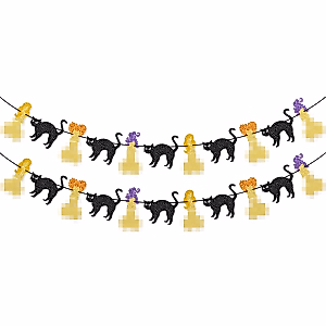 Hocus Pocus Bachelorette Party Banner Garland for Houcs Pocus Bachelorette Party Halloween Bachelorette Party Decorations