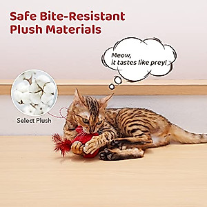 Potaroma Cat Toys Chirping Birds 2 Pcs with Catnip SilverVine, Interactive Cat Kicker, Lifelike Birdie Tweets, Indoor Kitty Kitten Exercise Toys 4.0"