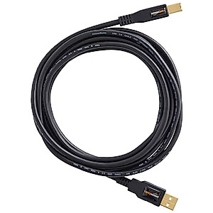 Amazon Basics USB-A to USB-B 2.0 Cable for Printer or External Hard Drive, Gold-Plated Connectors, 10 Foot, Black