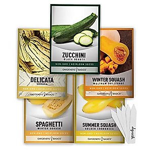 Squash Seeds for Planting 5 Individual Packets - Zucchini, Delicata, Butternut, Spaghetti and Golden Crookneck for Your Non GMO Heirloom Vegetable Garden by Gardeners Basics