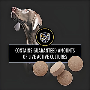 Veterinary Supplements Chewable Dog Probiotic Supplement Tablets - 45 ct. Canister