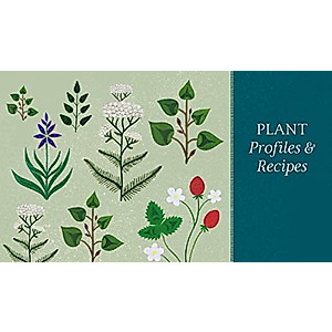 Held by the Land: A Guide to Indigenous Plants for Wellness