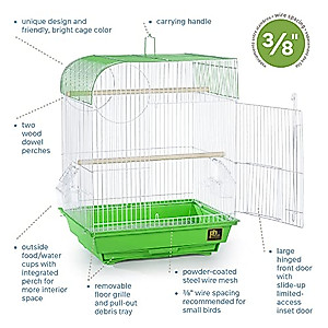 Prevue Pet Products South Beach Flat Top Bird Cage, Lime Green (SP50091),14 1/8" L x 11 1/4" W x 18 1/8" H