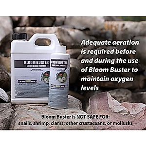 Bloom Buster Algae Control for Fish Ponds & Water Gardens - 32 Ounces - Safe for Koi Fish, Goldfish & Plants - Controls Algae in Ponds & Water Features, EPA Registered