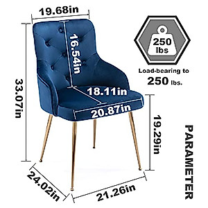 FCQuality Velvet Vanity Chair with Tufted Back Gold Metal Legs Dining Chair Mid Century Modern Upholstered Accent Desk Chair for Living Room Home Office Bedroom, Cobalt/Royal Blue