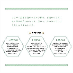 Mitsubishi Pencil Co, Ltd. 9800 pencil dozen (12 pieces) HB K9800HB (japan import)