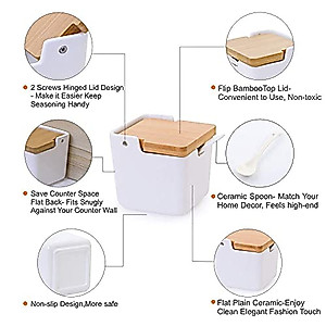 Lucky Goddness Ceramic Sugar Bowl with Bamboo Lid and Spoon,Porcelain Sugar Container for Home Kitchen,Salt Condiment for Sugar Tea Coffee Spice,White,9 Fl oz 270ML