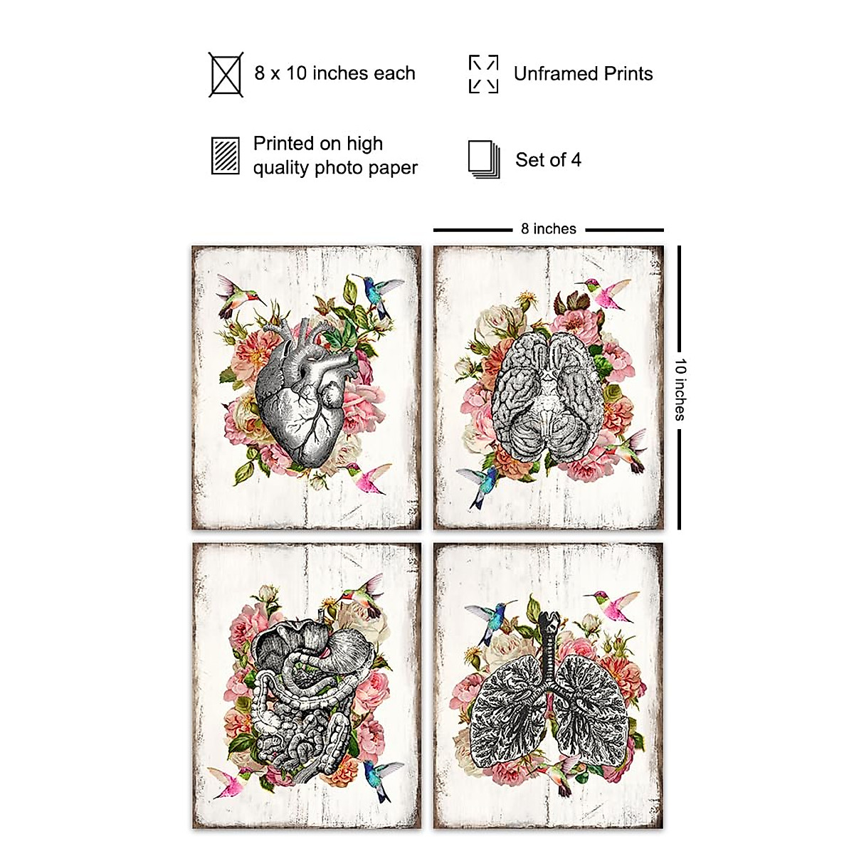 Human Anatomy Floral Hummingbird Wall Art Poster Set - 8x10 Rustic Heart, Brain, Lungs for Doctor, Medical Office, Living Room, Bedroom - Shabby Chic Goth Gift for ER Nurse Practitioner, RN, CNA