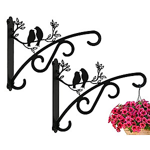 Heavy Duty Outdoor Hanging Plants Brackets, Plant Hangers with Wall Mounted Solid Steel Indoor Hooks, Support Up to 30 lbs for Basket Lantern/Light/Bird Feeder, Pack of 2 Garden Gifts Black (10 inch)