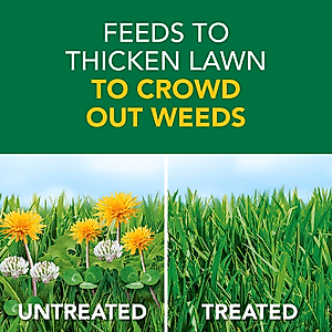 Scotts Turf Builder Weed & Feed5, Weed Killer and Lawn Fertilizer, Controls Dandelion Clover and More, 12,000 sq. ft, 33.95 lbs.