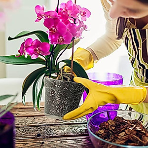 durony 12 Pack 4.5 Inches Clear Orchid Pots with Holes Flower Plant Pot Durable Plastic Planter with 12 Pieces Plant Labels Great Drainage for Seedlings Planting