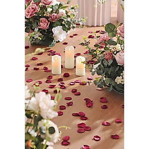 Serwalin 300pcs Silk Rose Petals for Weddings Flowers Petals for Valentine's Day Burgundy Petals Fake Rose Petals Flower Girl Petals for Wedding Flower Girl Basket Aisle Runner Bridal Shower