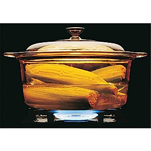 Visions 5L Round Dutch Oven With Glass Lid/Cover