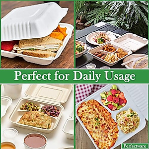 Perfectware 100% Compostable 3 Comp Take Out Food Containers 9x9". 25 Containers, Natural Disposable Bagasse, Eco-Friendly Biodegradable Made of Sugar Cane, Green (PW3comptbagasse-25ct)
