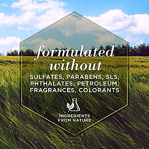 Burt's Bees for Pets Oatmeal Dog Shampoo | With Colloidal Oat Flour & Honey | Moisturizing & Nourishing, Cruelty Free, Sulfate & Paraben Free, pH Balanced for Dogs - Made in USA, 16 Oz