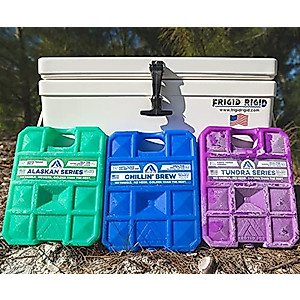 ARCTIC ICE Tundra Series, Long Lasting Reusable Ice Pack, Purple, Large, 2.5 lb