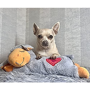 ALL FOR PAWS Heart Beat Dog Toy, Puppy Sleeping Buddy Cuddle Toy Dog Soothing Plush Toy, Crate Training Puppy Stuffed Animal Toys