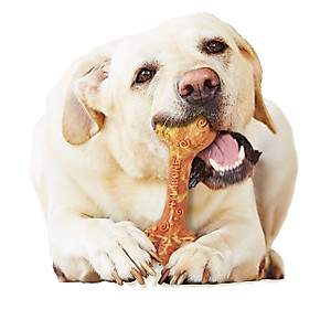 Nylabone Power Chew Flavor Frenzy Bone Chew Toy for Dogs, Indestructible Chew Toys for Aggressive Chewers, Bacon Flavor, X-Large/Souper - 50+ lbs. (1 Count)
