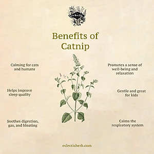 ShopSense Premium Catnip Spray - Your Cat's Ultimate Playtime Stimulant