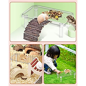 Bissap Hamster Platform, Plastic Play Platform Hamster Stand Platform for Dwarf Syrian Hamsters Gerbils Mice Degus or Other Small Pets Cage Accessories - Transparent