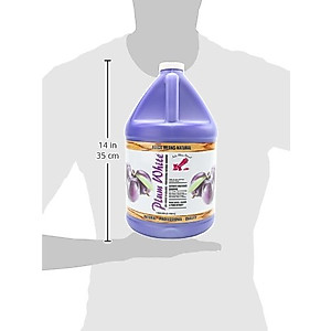 Kelco 50:1 Plum White Shampoo Gallon