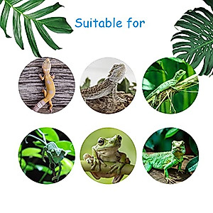MUYG 4 PCS Crested Gecko Coconut Hide Natural Lizard Coco Hut Reptile Hanging Nest Flexible Vine Habitat Decoration Bearded Dragon Terrarium Accessories for Tortoise Chameleon Snake Spider