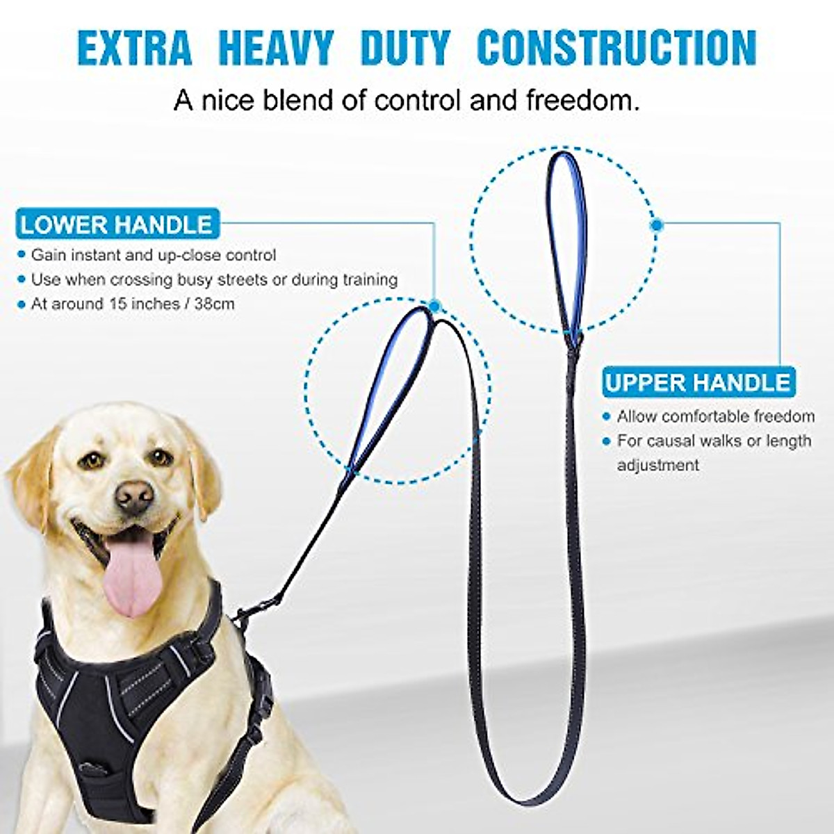 rabbitgoo Dog Leash 6ft Long, Heavy Duty Leash with 2 Padded Traffic Handles, Hands Free Leash for Control Safety Training, Reflective Walking Lead for Small, Medium, Large Dogs