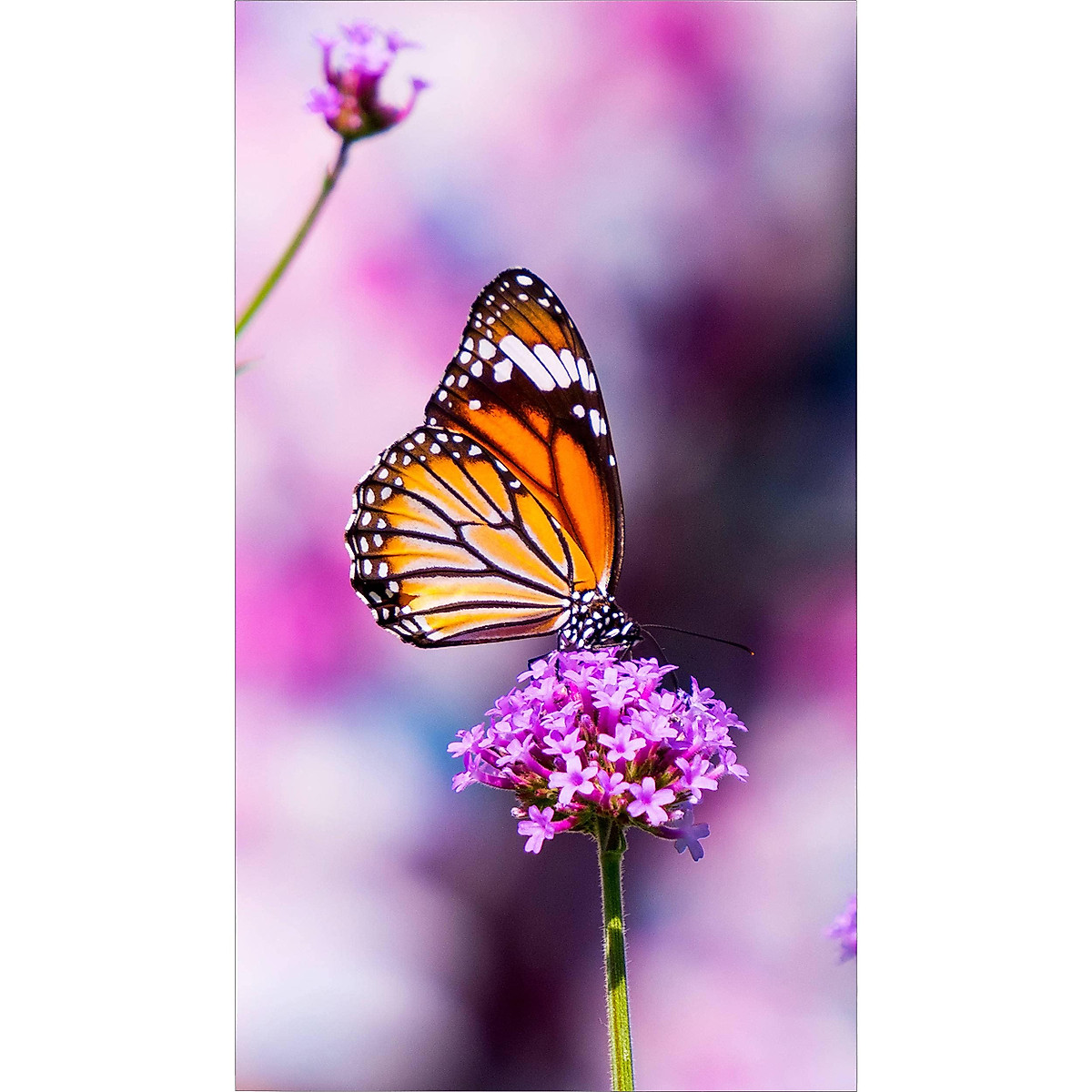 NEC MultiSync UN552V 55" 16:9 Full HD S-IPS Ultra Narrow Bezel Video Wall LCD LED Display with Direct LED Backlights, 3.5mm Bezel Gap HDMI/DP Daisy Chain, SpectraView Engine