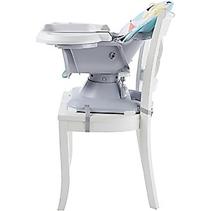 Fisher-Price Baby to Toddler High Chair SpaceSaver Portable Dining Seat & Booster with Washable Deep Tray & Liner, Windmill