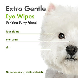 Petkin Plant-Based EyeWipes, 80 Wipes, 2 Pack - Biobased & Sustainable Pet Eye Wipes for Dogs & Cats - Cleans Eye Area, Dirt & Tear Stains - Consciously Cleans & Conditions - Easy to Use - Unscented