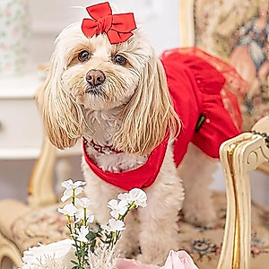Fitwarm 2-Pack Dog XOXO Tulle Dress, 100% Cotton Dog Clothes for Small Dogs Girl, Cat Apparel, Red, XS