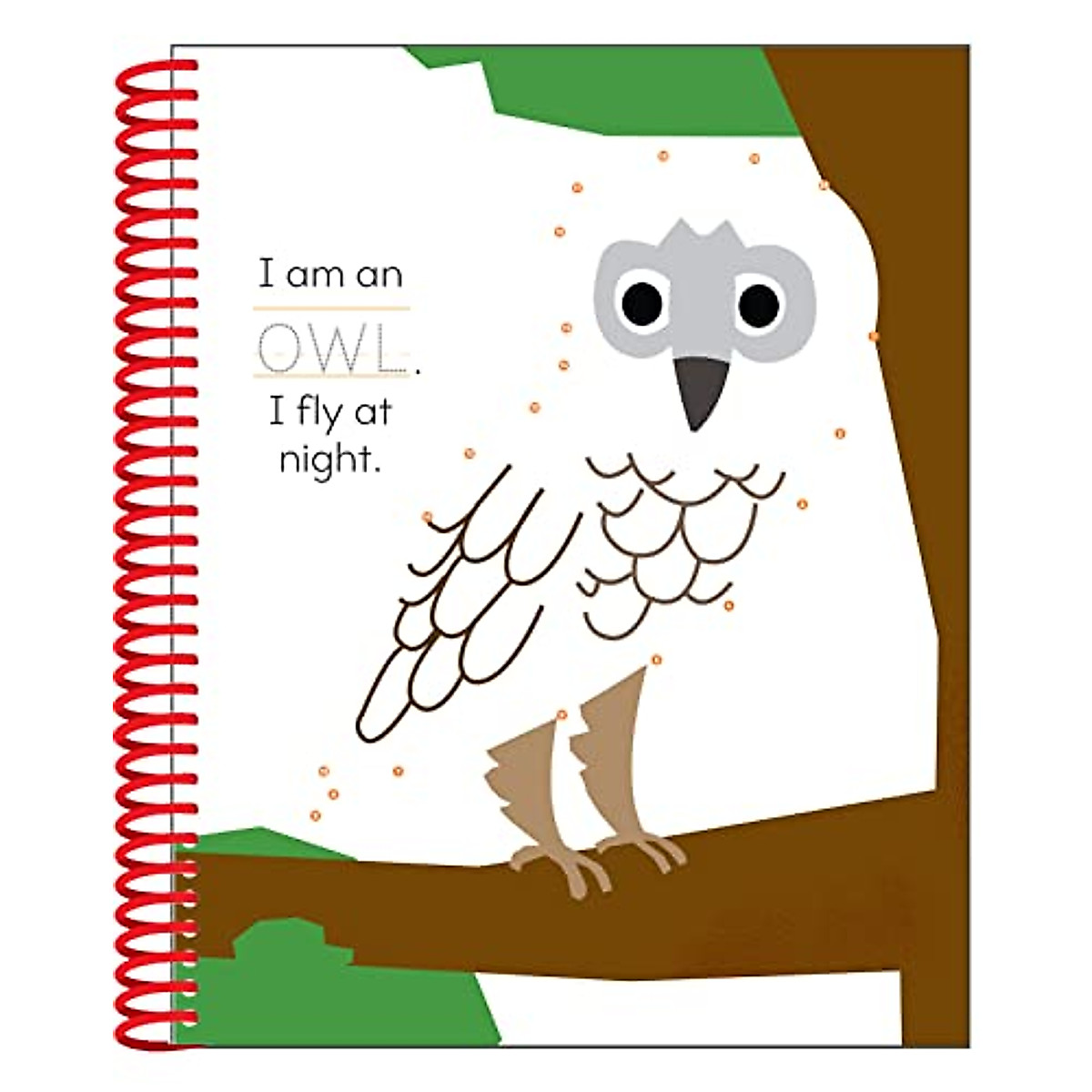 Wipe Clean Dot to Dot Animal Book For Kids 3 - 5 (Start Little Learn Big Series)