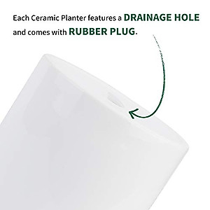 8 Inch Glazed Ceramic Indoor Planter Pot - Modern Large Cylinder Container with Watering Drainage Rubber Plug - Fits Succulents, Flowers or Bonsai