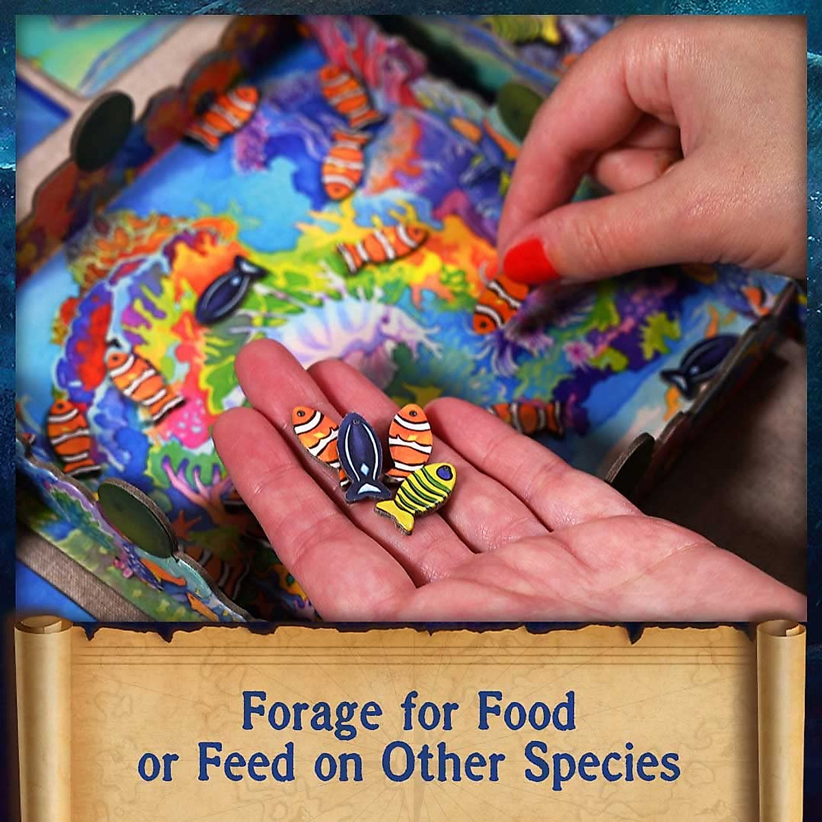 Northstar Game Studio Oceans Board Game | Beautiful Strategy Game for Adults, Teens & Families | Create Aquatic Species in This Ecosystem Game | 2-4 Players, 90 mins, Age 12+