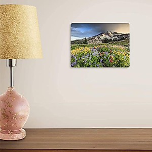 Personalized Metal Print Photo on Metal in High Definition and Variety of Sizes Ready to Hang – Metal Printing Your Custom Photos Makes The Perfect Wall Decor for Your Home or Office - Made in USA