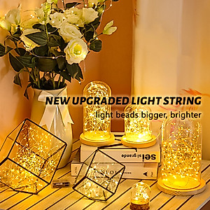 Fairy Lights Battery Operated 1 Pack 16FT 50 Led Mini Battery Powered String lights twinkle lights Mason Jar Lights Waterproof firefly lights DIY Party，Wedding，Christmas，Decoration（Warm White）
