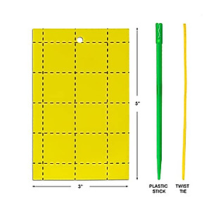 Double-Sided Yellow Sticky Card Insect Trap by Catchmaster - 72 Count, Ready to Use Indoors & Outdoors. Flying Bug Plastic Monitor Plant Protection Greenhouse UV-Resistant Waterproof Non-Toxic